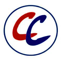 C & C Constructions Stock Price Forecast. Should You Buy CANDC.NS?